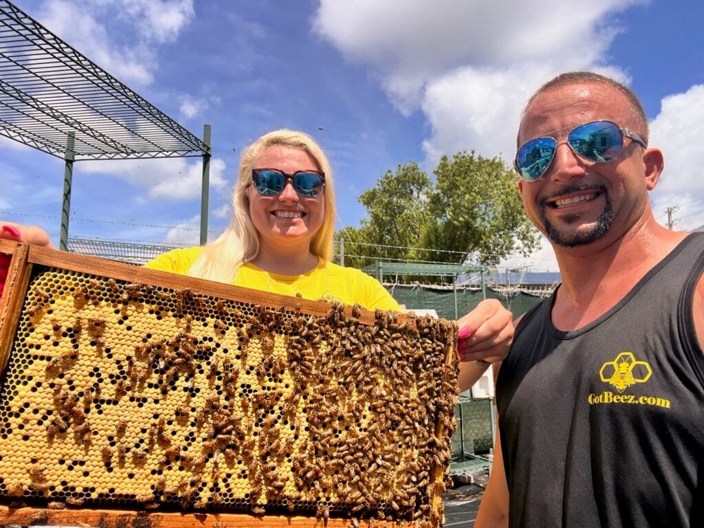 Bee Removal Miami Gardens | Professional Bee removal Services